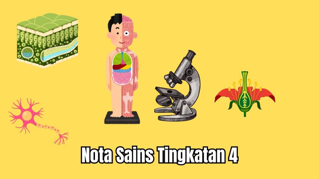 Nota Sains Tingkatan 4 Ringkas dan padat (Updated 2025) - Info Pelajar