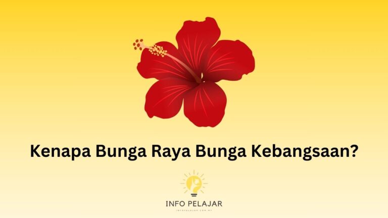 Kenapa Bunga Raya Bunga Kebangsaan? - Info Pelajar