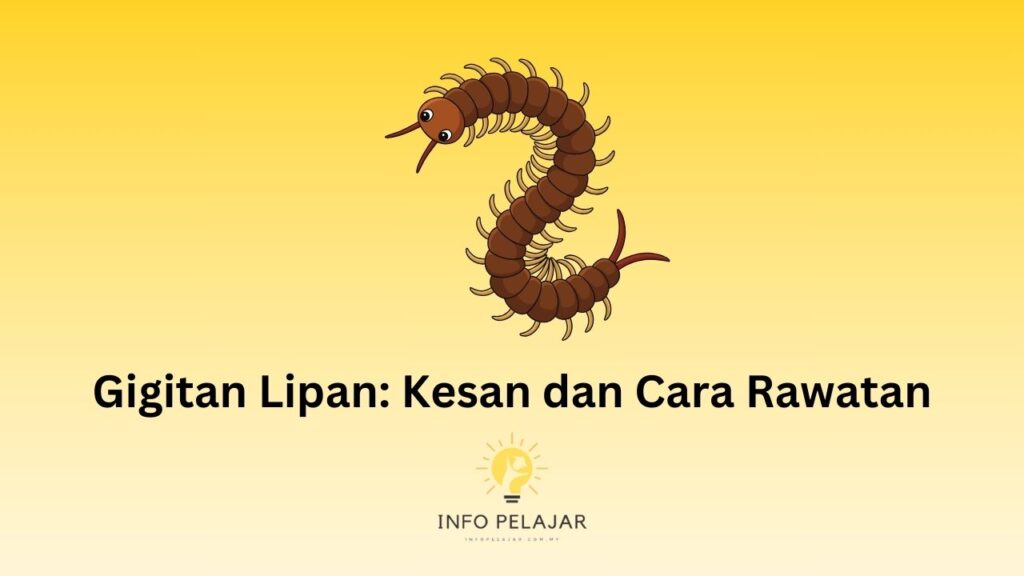 Gigitan Lipan: Kesan dan Cara Rawatan - Info Pelajar